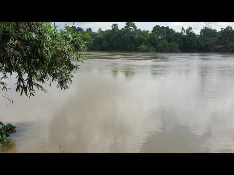 Mahananda - YouTube