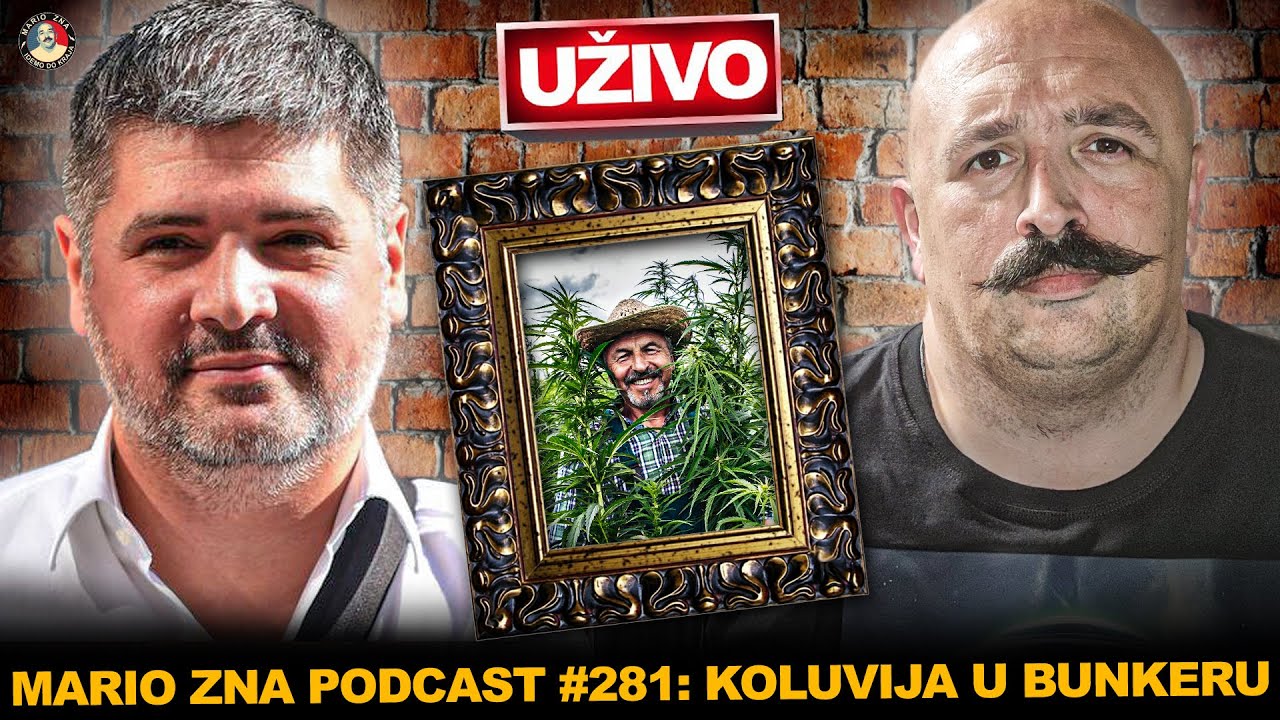 Šef Kartela ili vođa Naučnog Projekta | Predrag Koluvija | Mario Zna ...