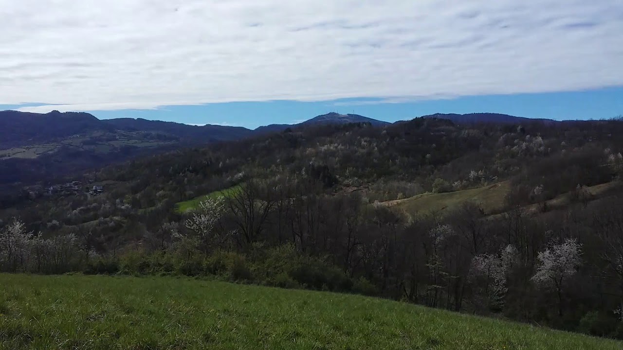 Segugio dell'Appennino - YouTube