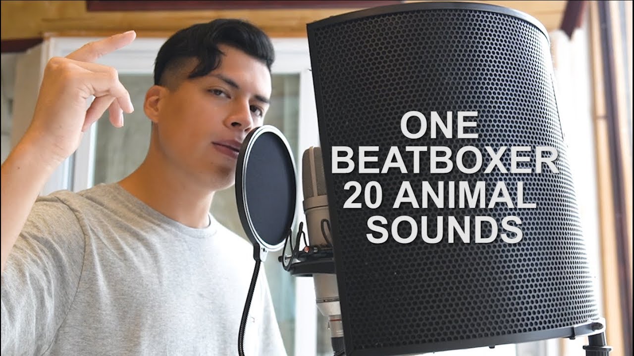 One Beatboxer, 20 Animal Sounds - YouTube