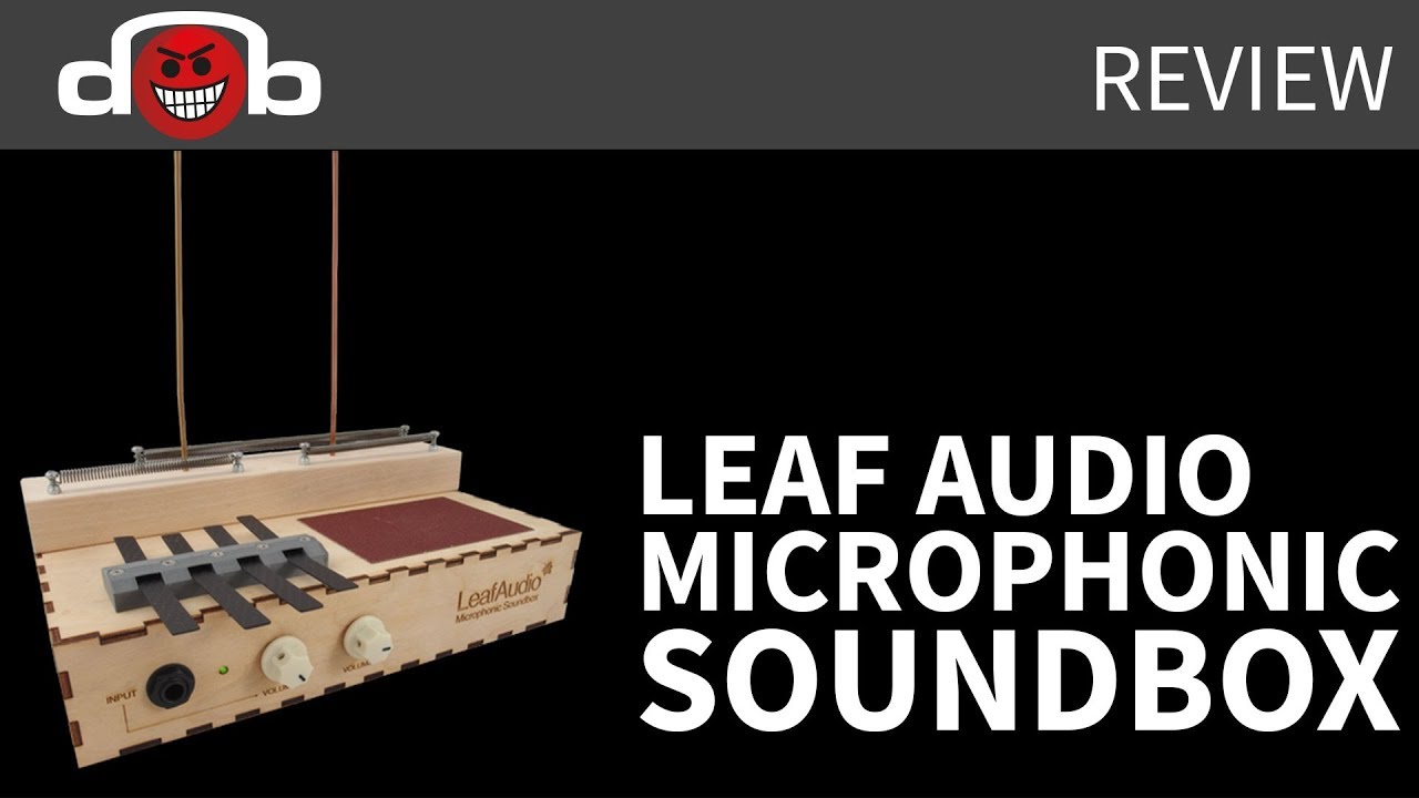 Lead Audio Microphonic Soundbox Review - YouTube