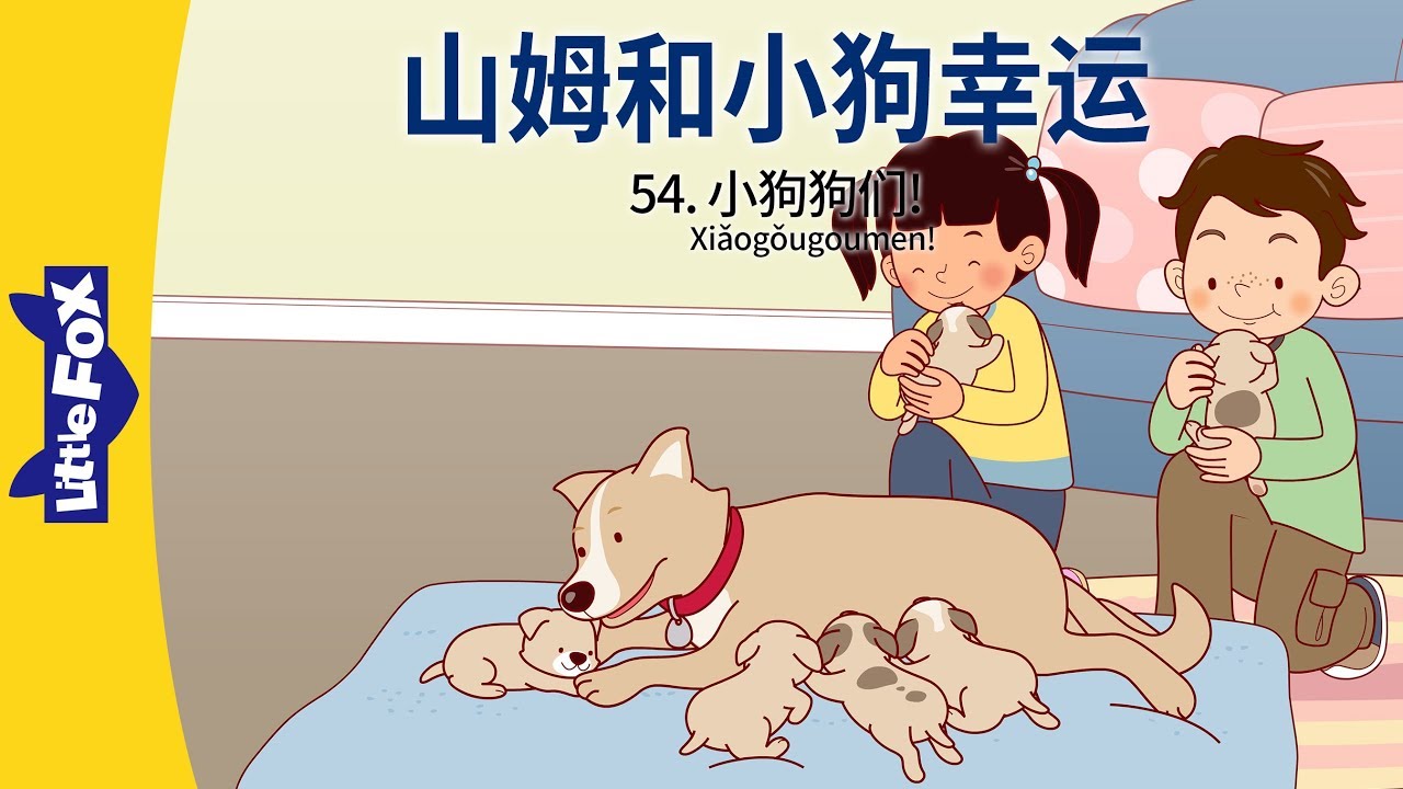 山姆和小狗幸运 54 : 小狗狗们! (Sam and Lucky 54 : Puppies!) | Friendship | Chinese ...