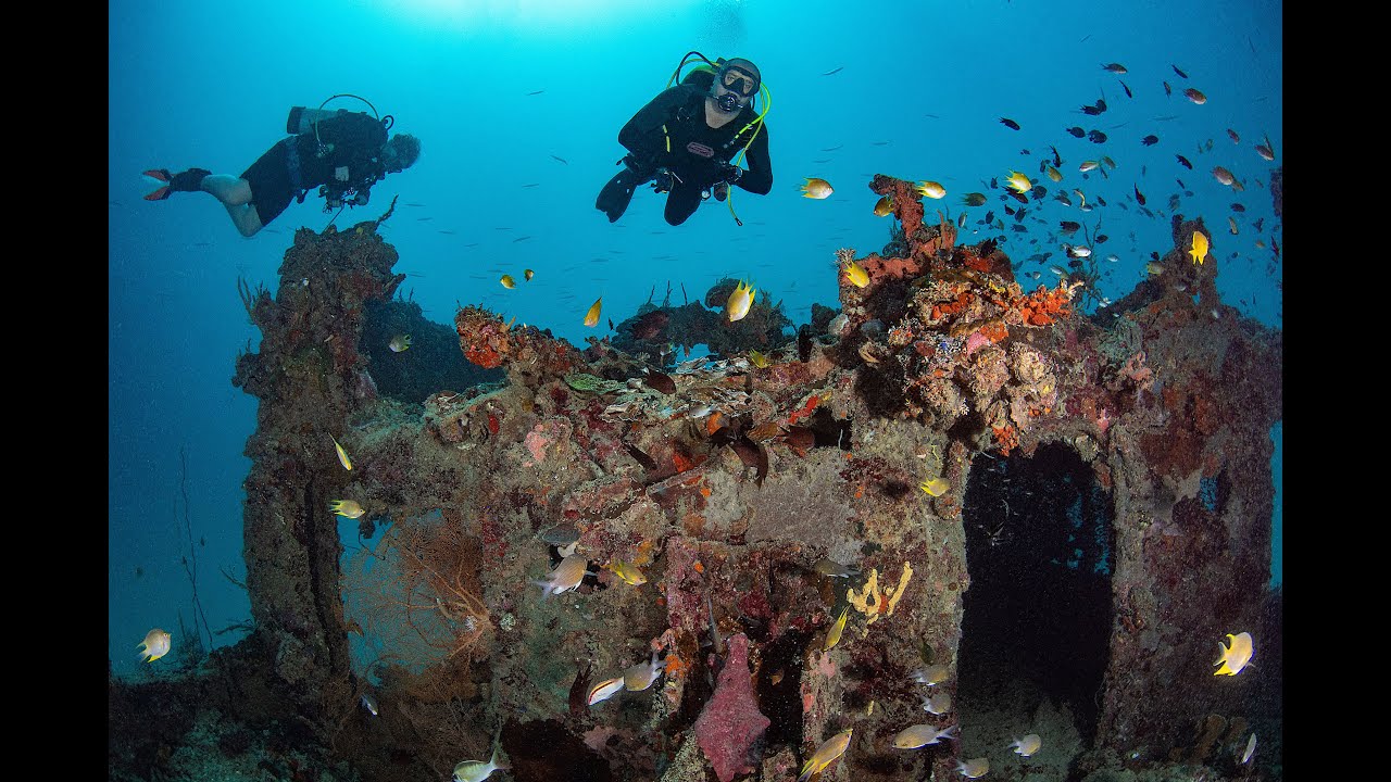 Diving in Coron, January 2023 - YouTube