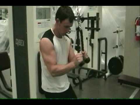 Tricep Cable Pulldown Workout HOW-TO Bodybuilding/Weightlifting Fitness ...