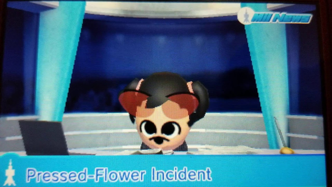 Tomodachi Life - Mii News - Pressed-Flower Incident - 10th Day - YouTube
