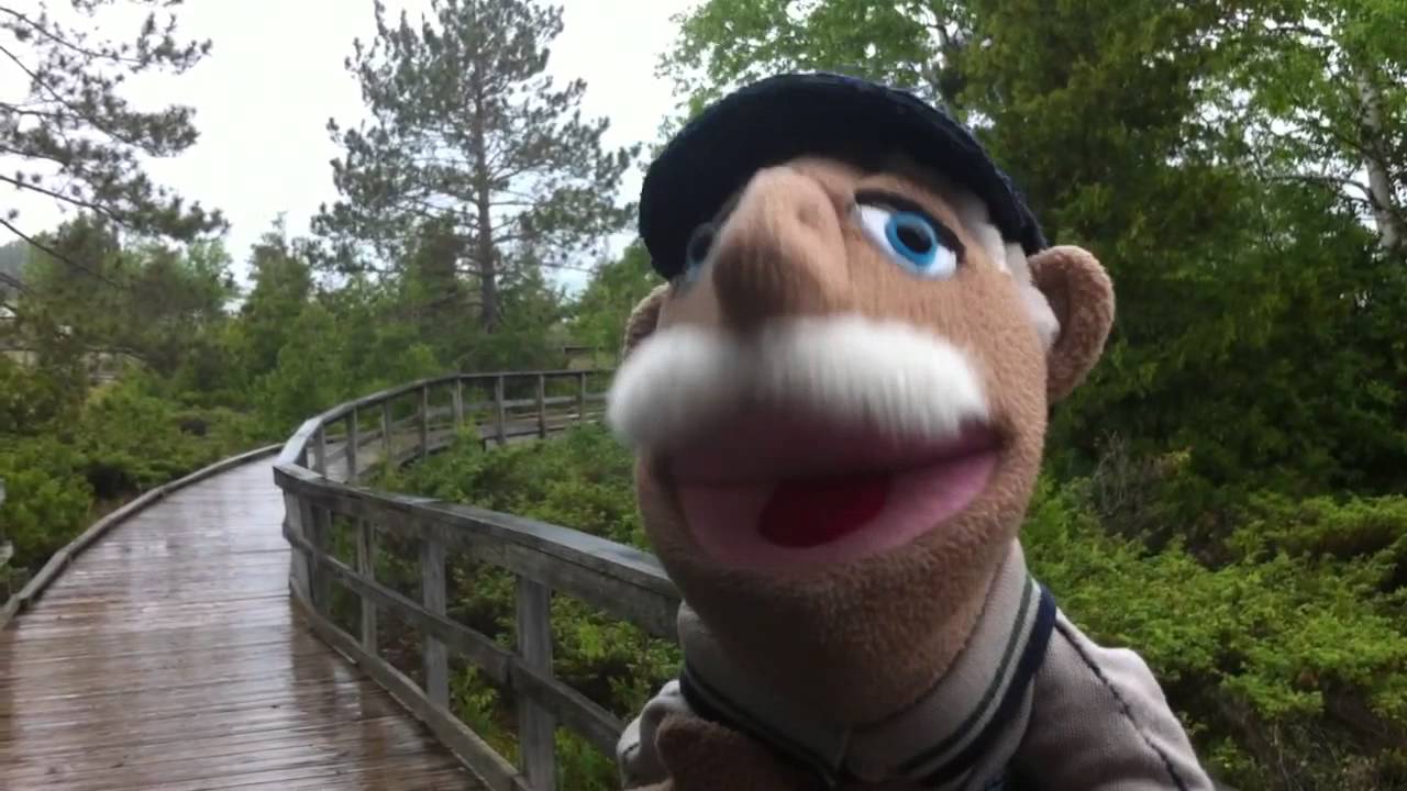 Ranger Bob - Stormy Weather - YouTube