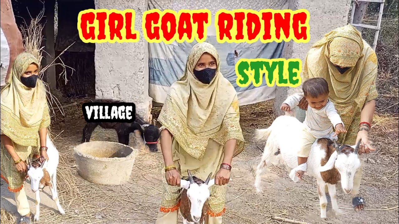 Girl goat riding full weight || sadam family vlogs - YouTube