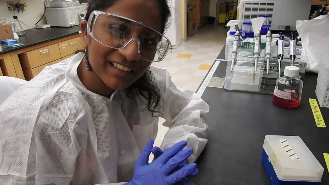 Science for Kids: Infections, Germs, and Immune Cells! - YouTube