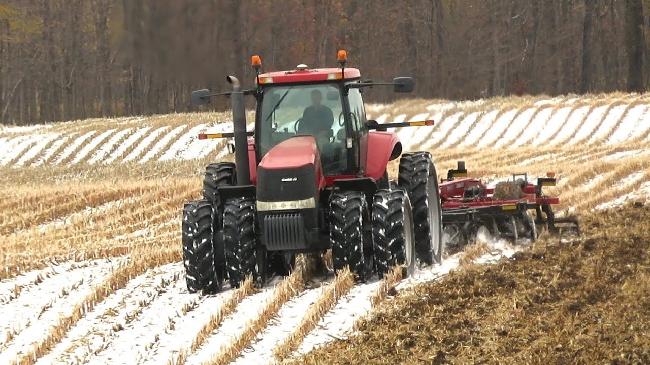 Fall Tillage 2020 | Case IH 305 Magnum Chisel Plowing | Chisel Plowing ...