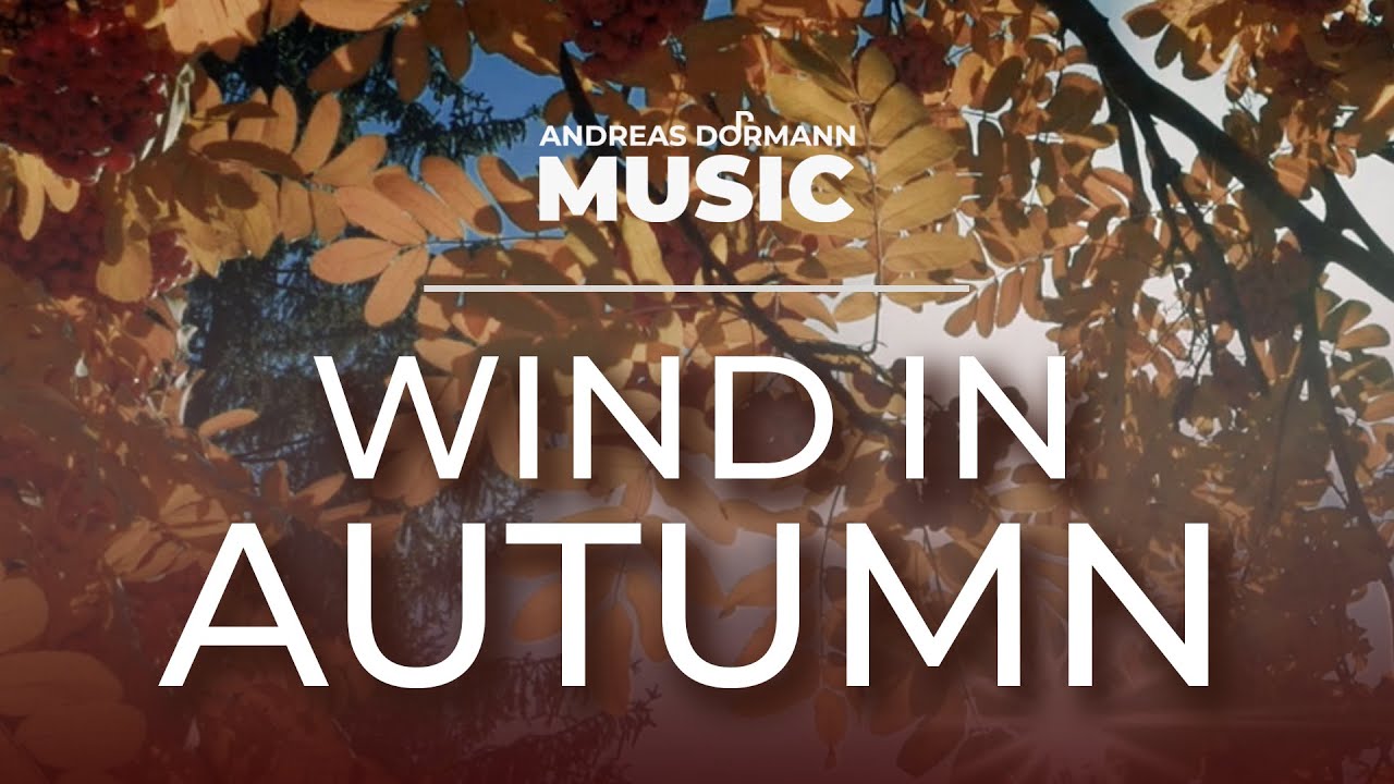 Wind In Autumn (Ambient Music Video) - YouTube