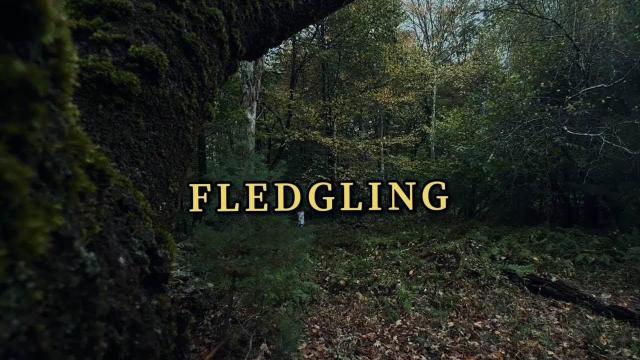 “Fledgling” A Short Film - YouTube