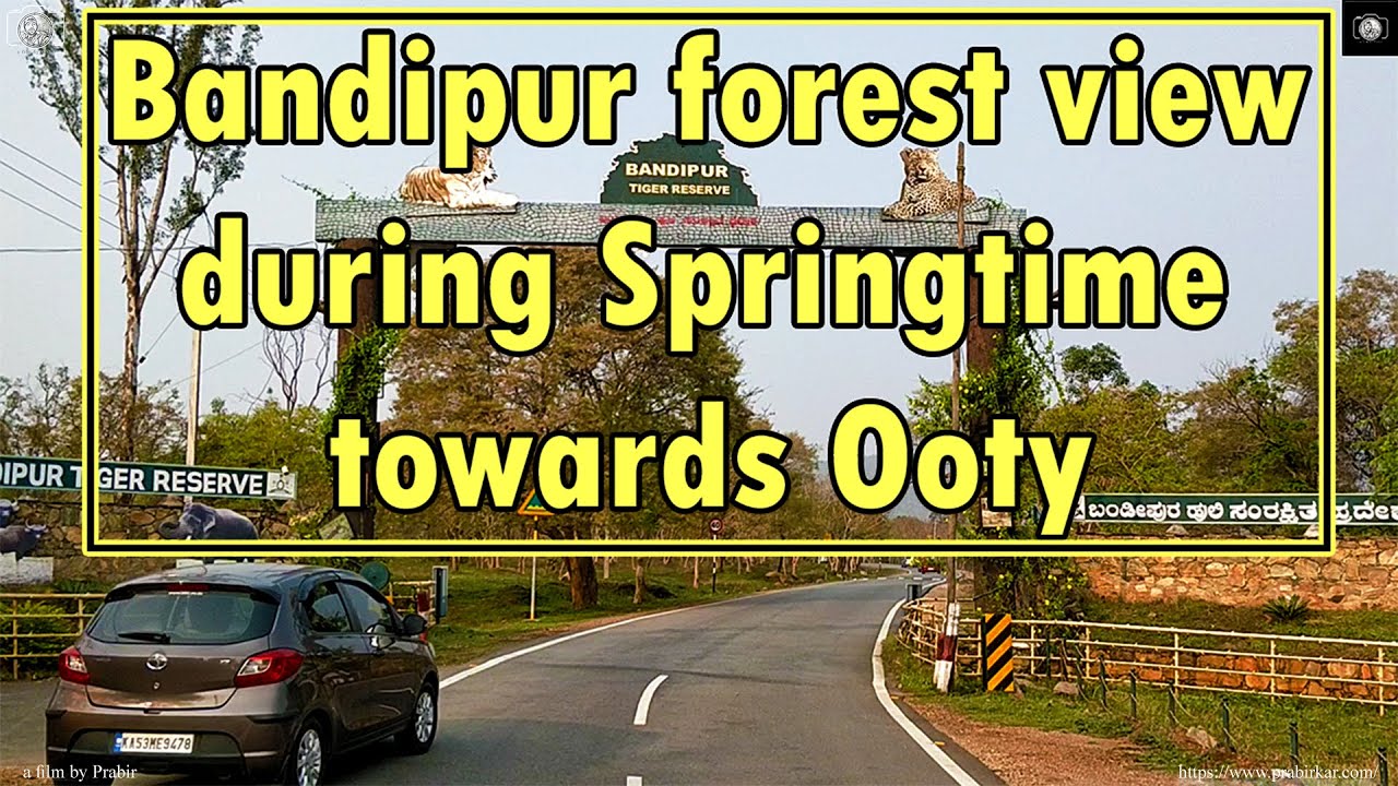 Bandipur Road view | spring time | Bandipur Tiger Reserve And National ...