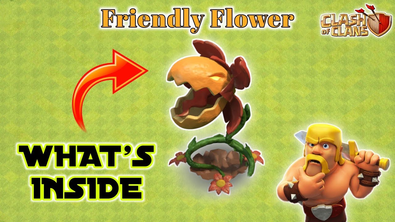 What's Inside Friendly Flower in Clash Of Clans - COC - YouTube