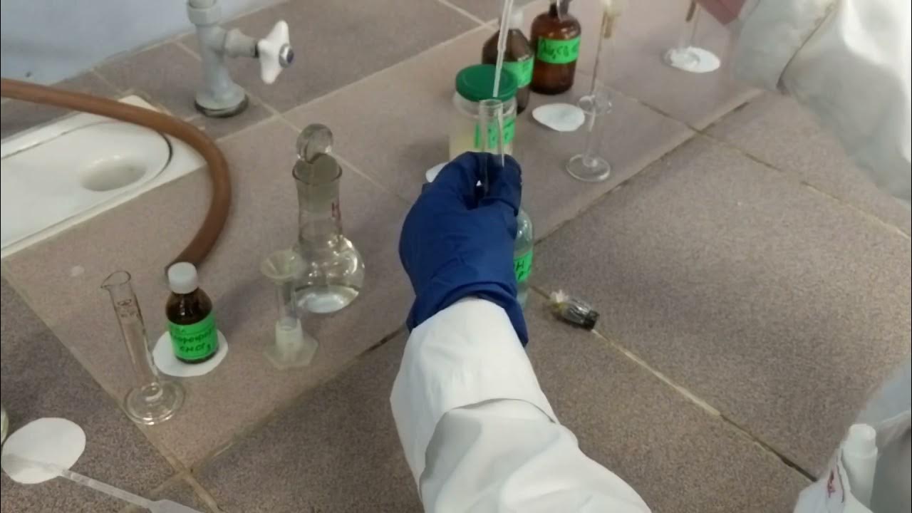 Растворимость и эмульгирование жиров лабы биохимия - YouTube