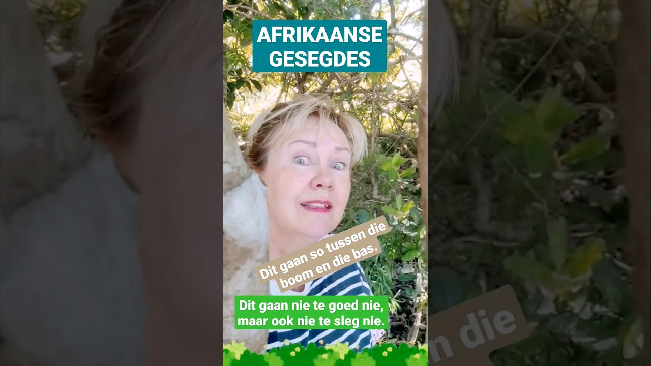 Afrikaanse gesegdes: 🌳Dit gaan so tussen die boom en die bas.🌳 #idiome ...