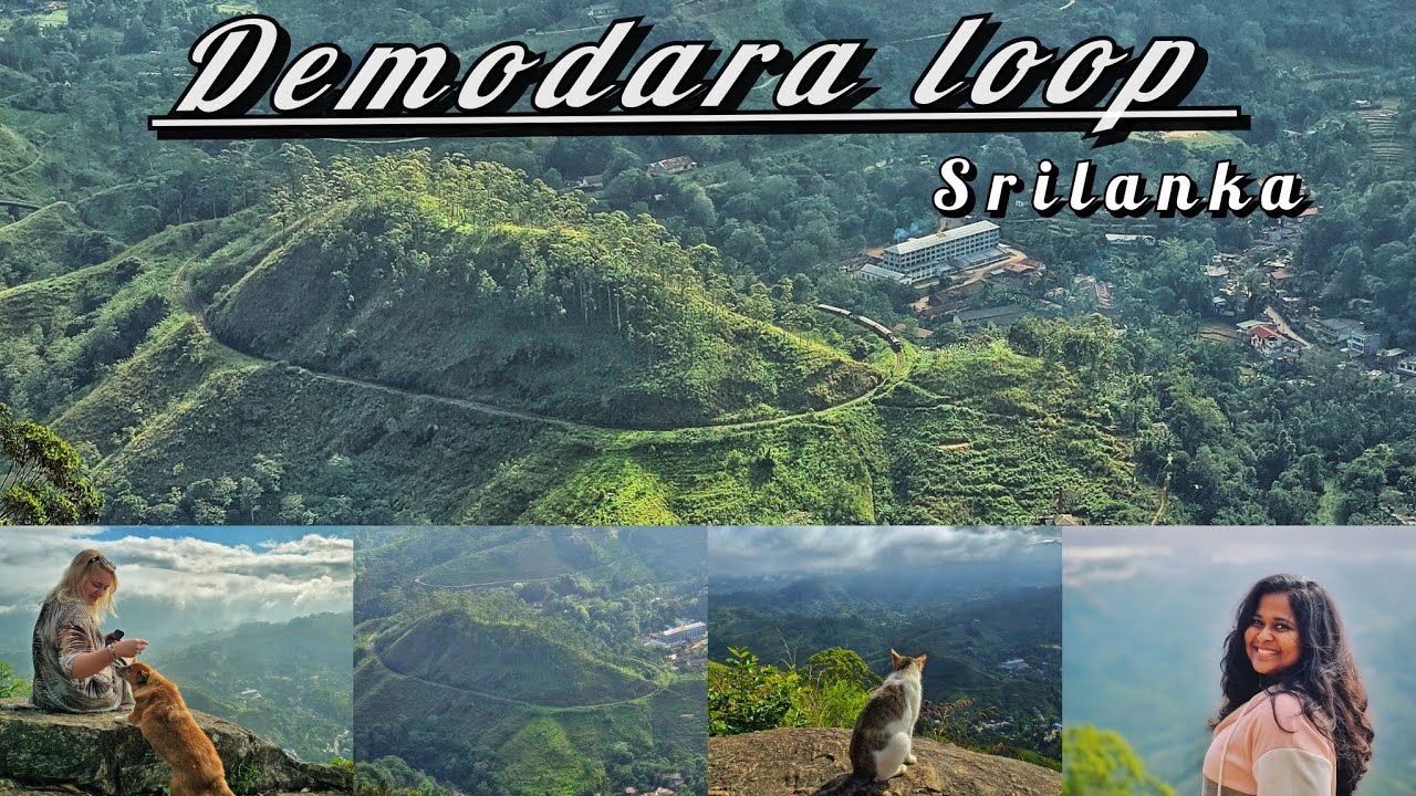 Demodara | D loop | Srilanka | දෙමෝදර රේල් ගැටය බලන්න view point එකට ...