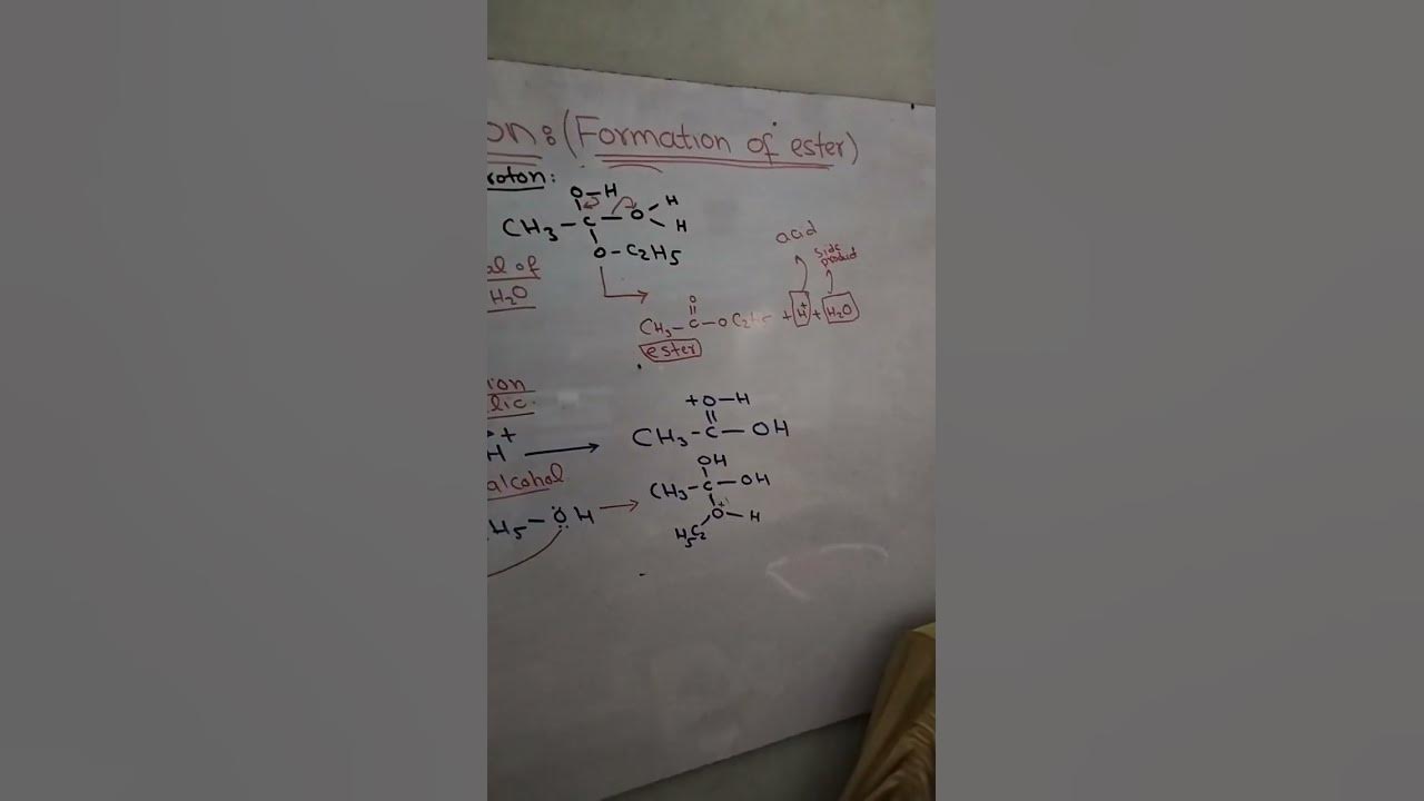 esterification mechanism, formation of ester, esterification class 12 ...