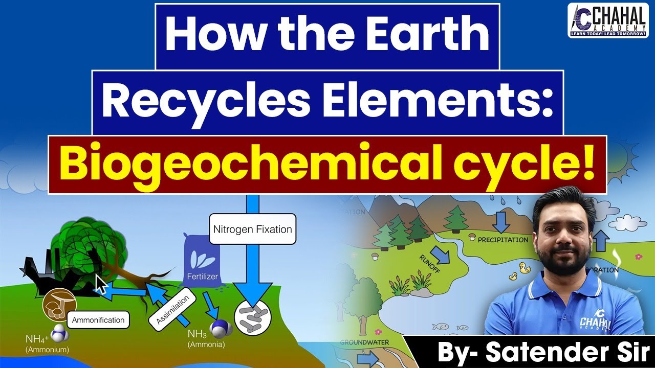 Nature's Hidden Recycling Process: Biogeochemical Cycles Simplified ...