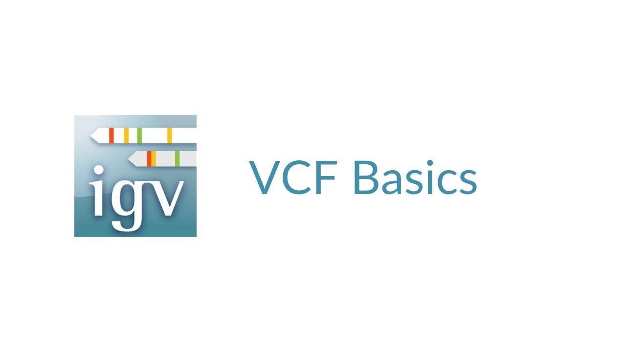 IGV | VCF Basics | VCF File Explanation & Viewing in IGV - YouTube