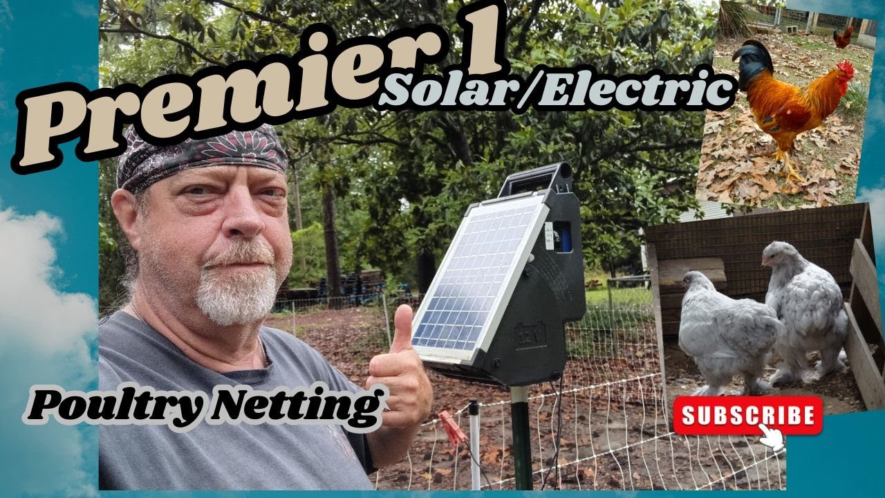 Premier 1 Solar Poultry Netting Update - YouTube
