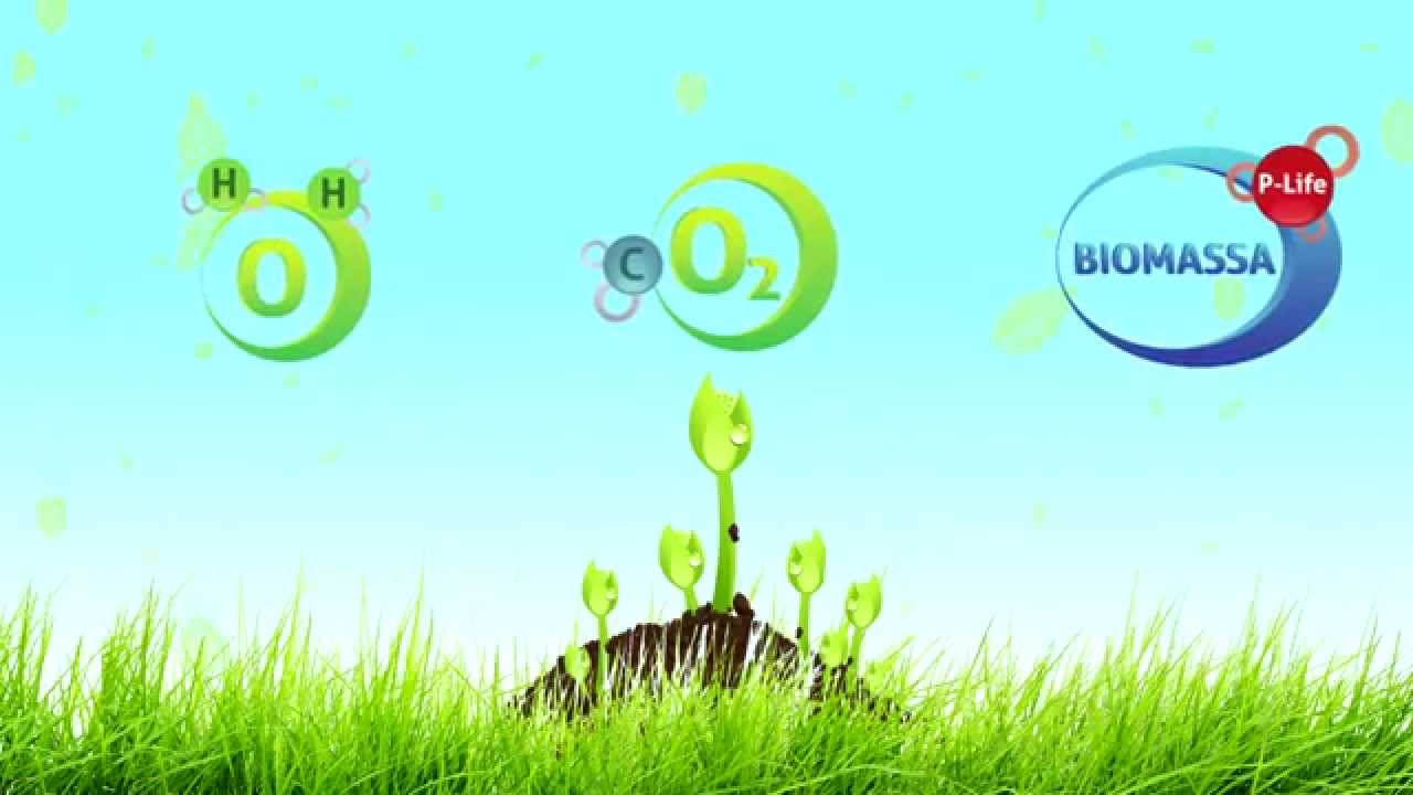 Eco Ventures Plástico Bio – Eco Ventures Biodegradável - YouTube