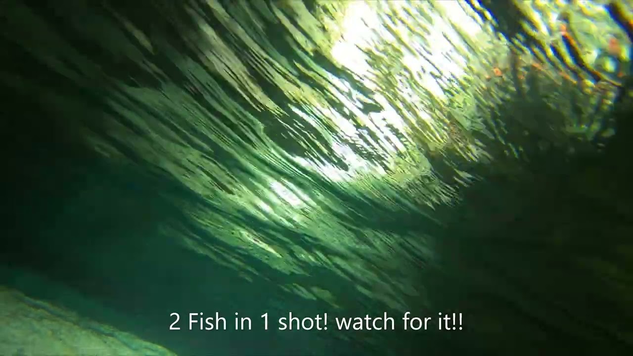 Spearfishing | Night Spearfishing Episode #24 #spearfishing#diving# ...