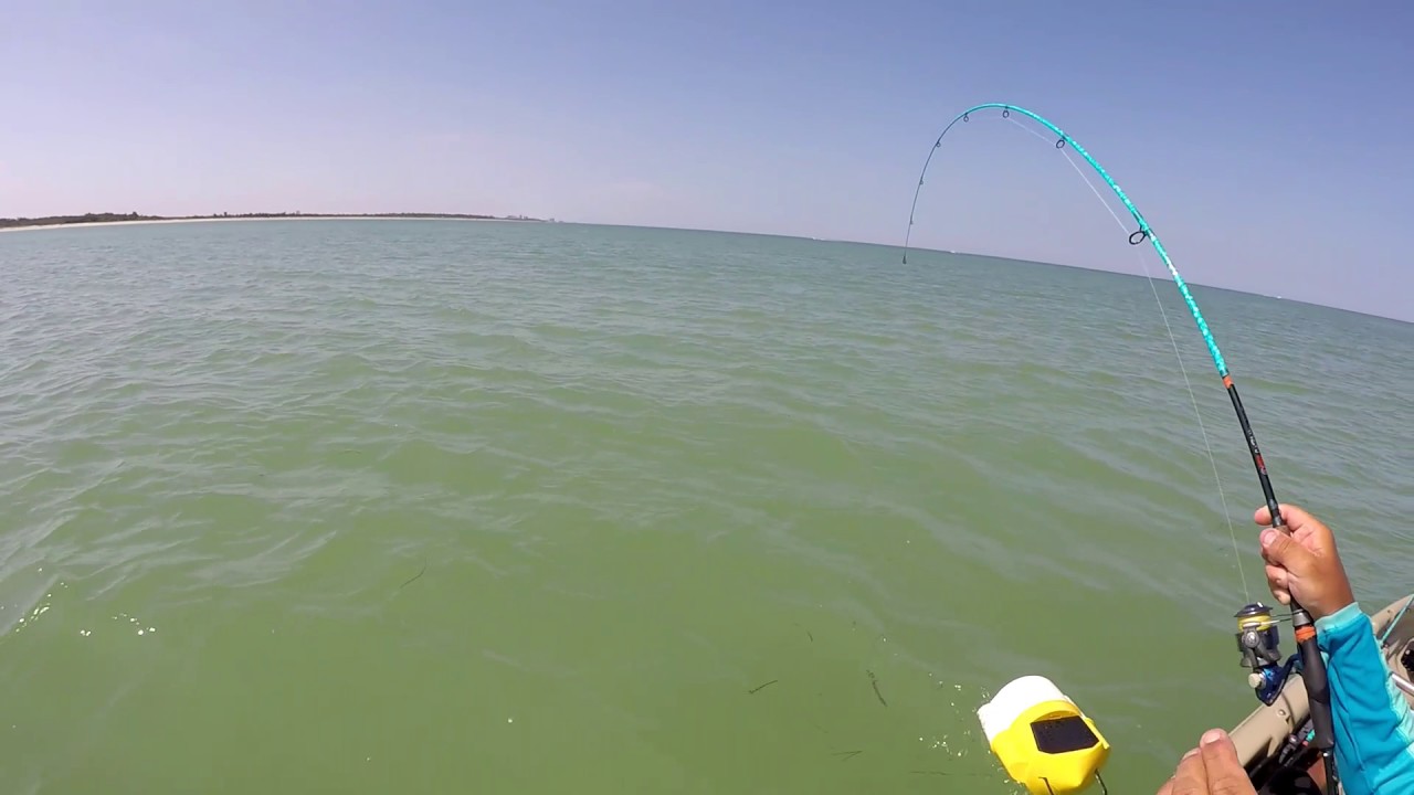 Kayak fishing Monster Stingray - YouTube