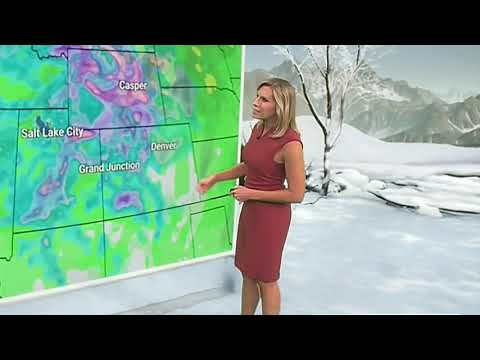 Jacqui Jeras - The Weather Channel - 100721 Brown Dress - Profile View - Easy On The Eyes