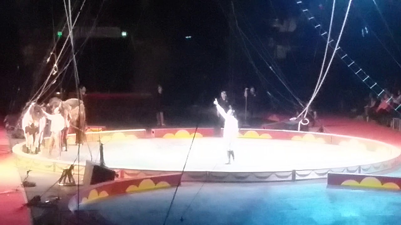 Shrine Circus 2018 - YouTube