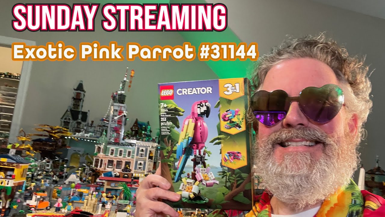 Streaming - Exotic Pink Parrot - YouTube