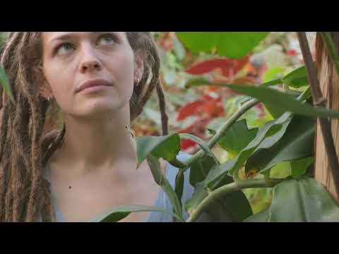 If you done it it aint bragging Calming musicly Relax Music - YouTube Music