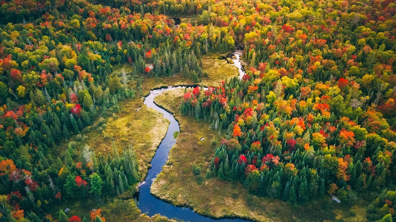 Autumn In The Canadian Wilderness autumn-in-the-canadian-wilderness