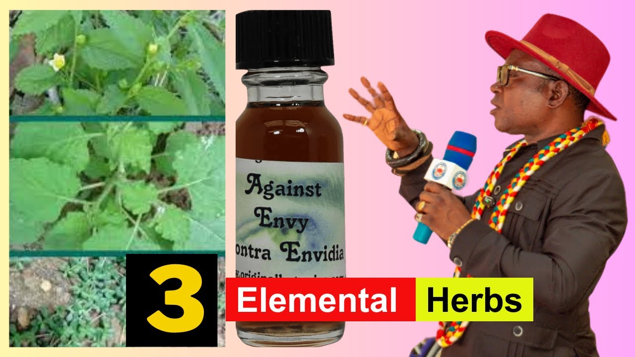 Three Elemental Herbs - Powerful Protection and Cleansing Oil - Nana ...