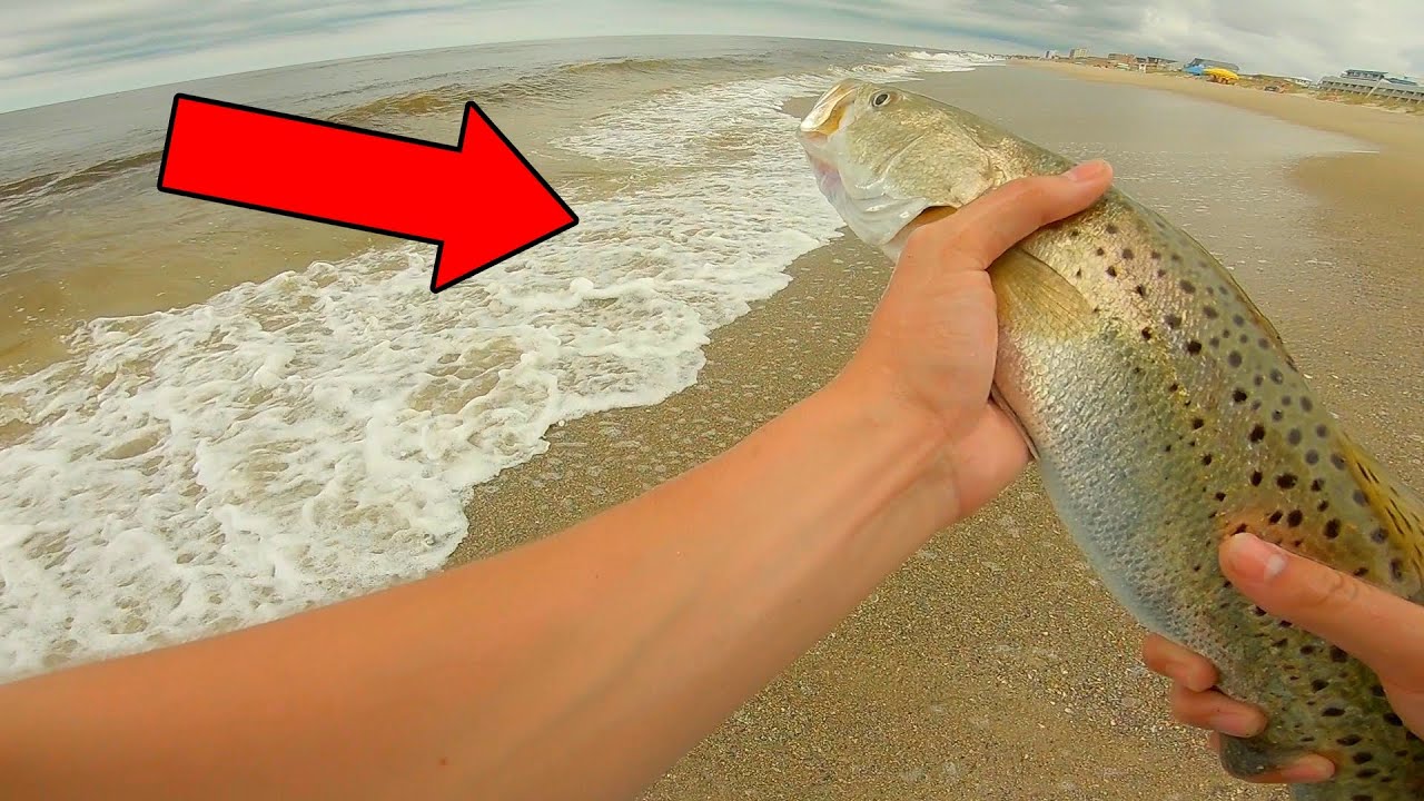 CRAZY SURF FISHING ACTION!- Fishing the Ocean For BIG Fish - YouTube