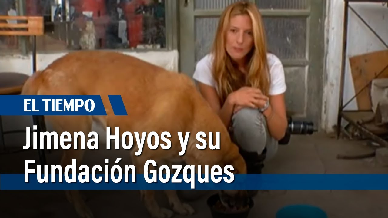 Fundación Gozques: Un mensaje de conciencia y compasión con los animales | El Tiempo - YouTube
