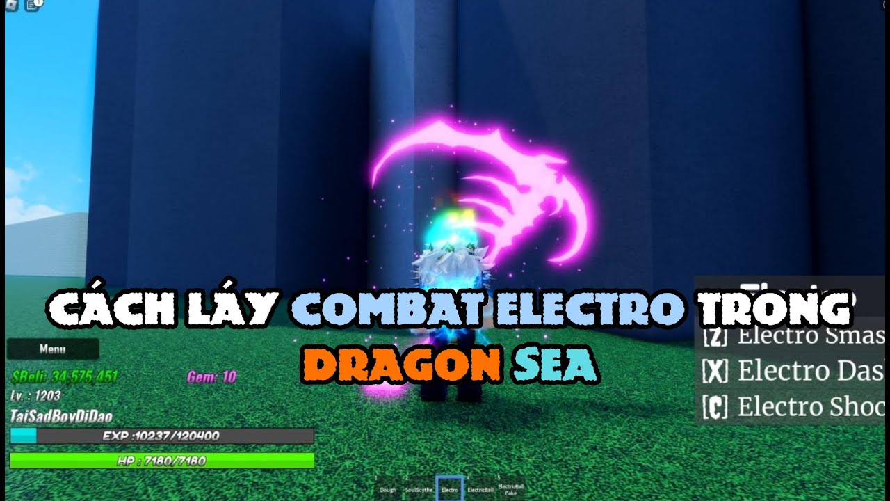 DRAGON SEA | Cách Lấy "Combat Electro" trong DragonSea - YouTube
