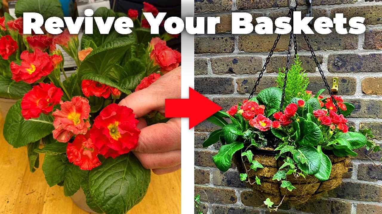 How to Create the PERFECT Spring Hanging Basket Display - YouTube