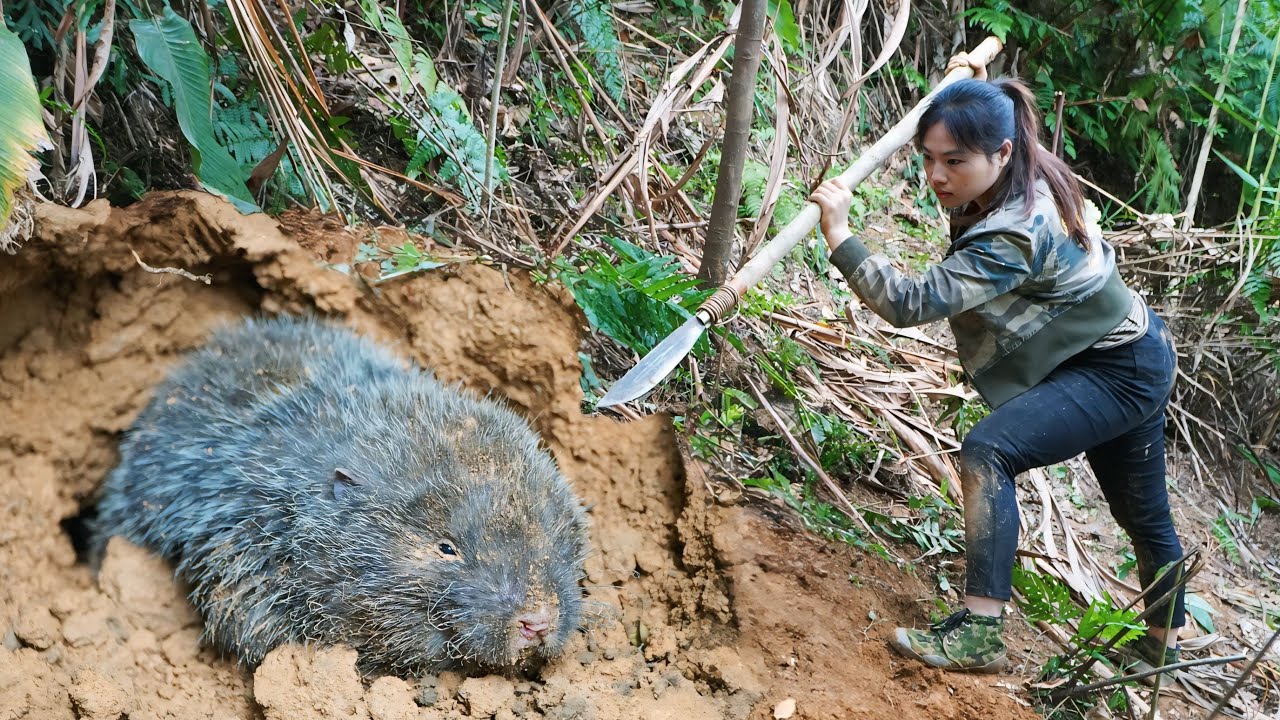 bamboo rat digging and catching skills, winter survival, survival alone ...