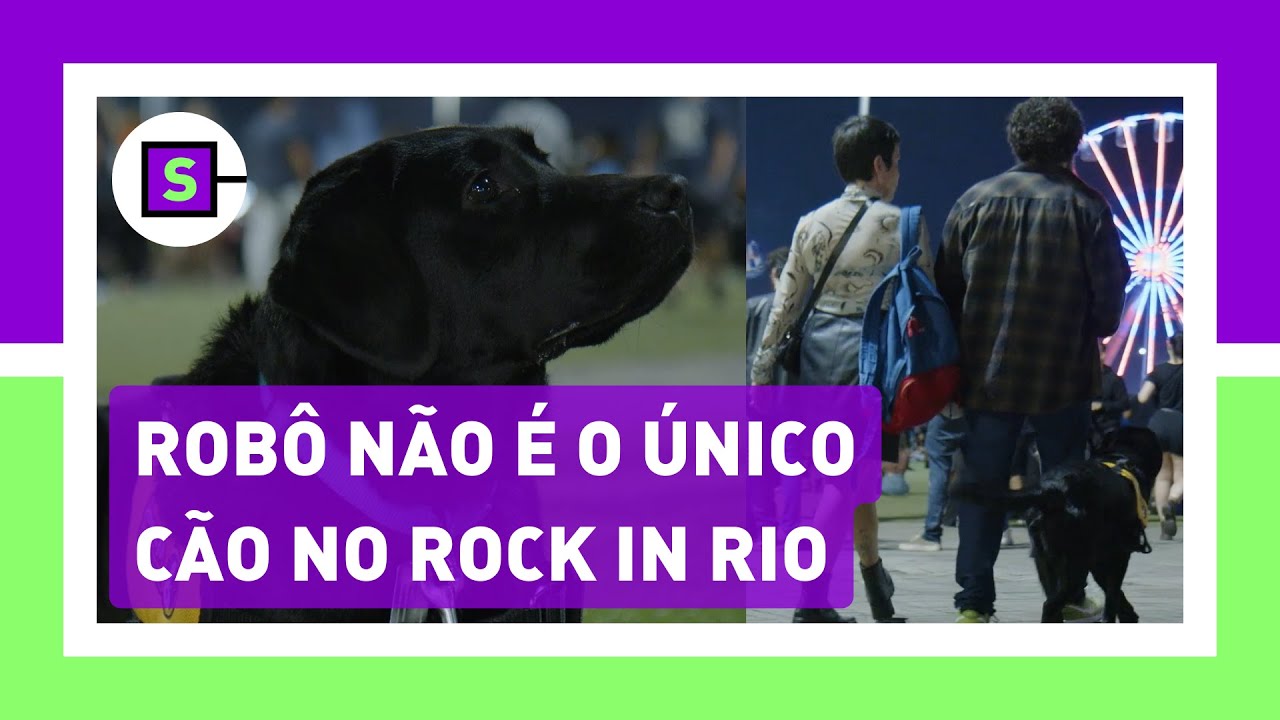 DOG IN RIO: Cachorro para CRIANÇAS COM AUTISMO curte o ROCK IN RIO como ...
