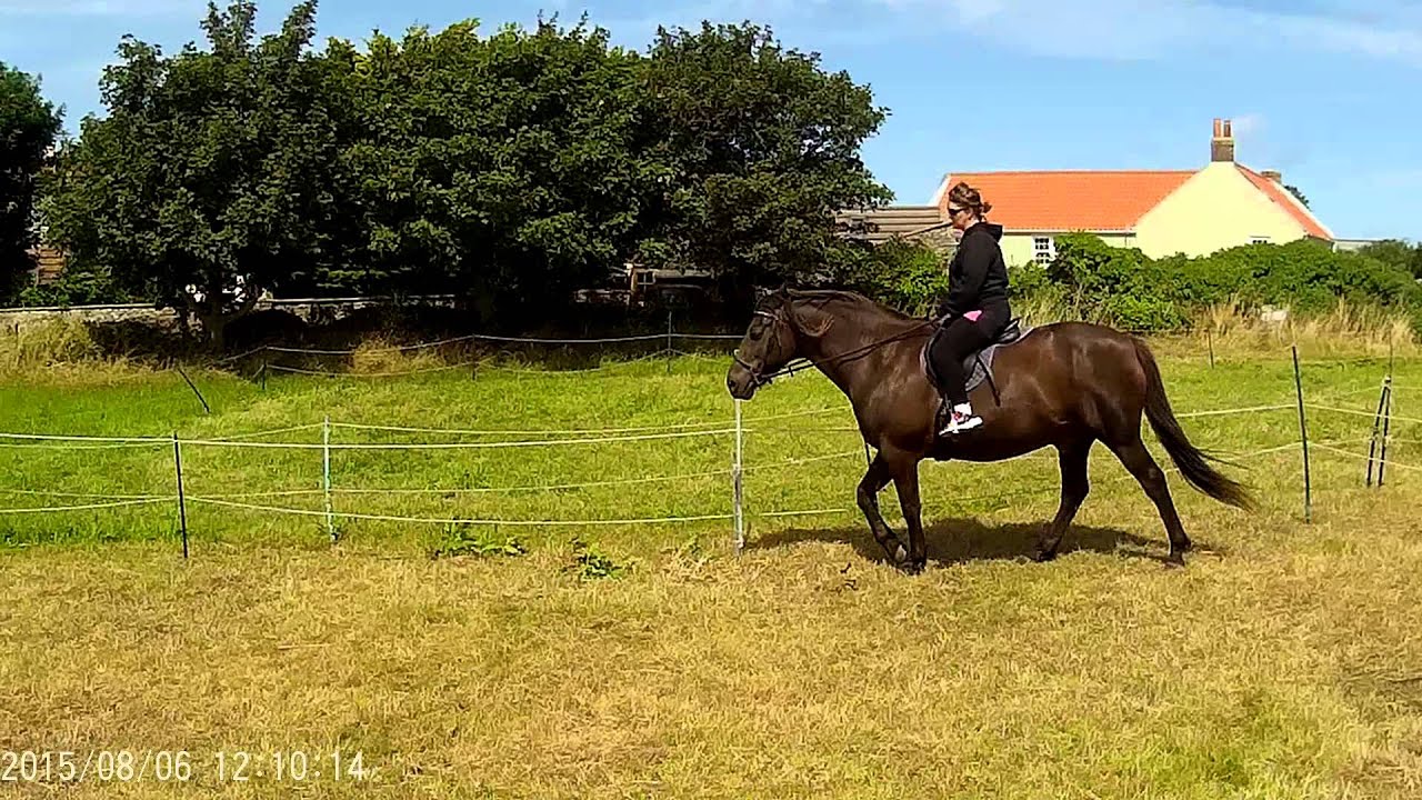 Sarah and Buster - YouTube