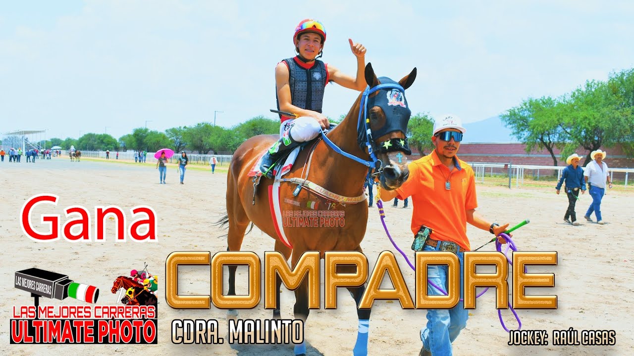 4.-El Compadre vs El Terco - YouTube