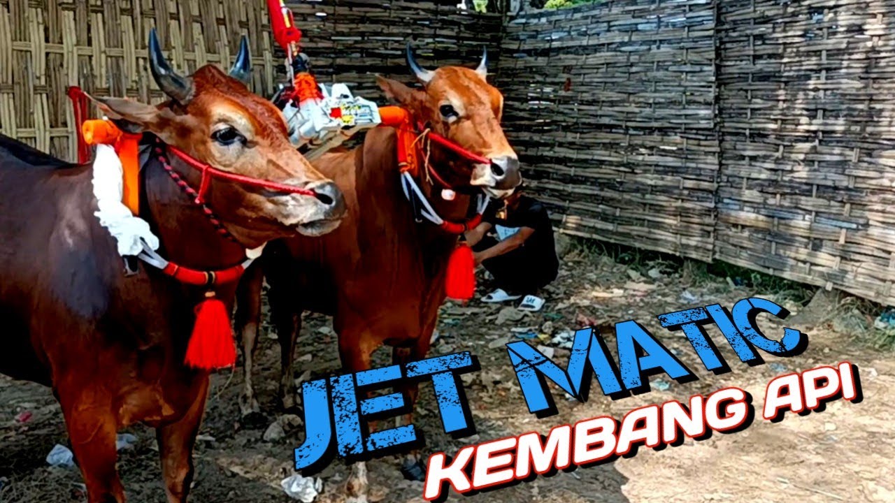 jet matic mulai koleksi pasangan baru angin ribut - YouTube