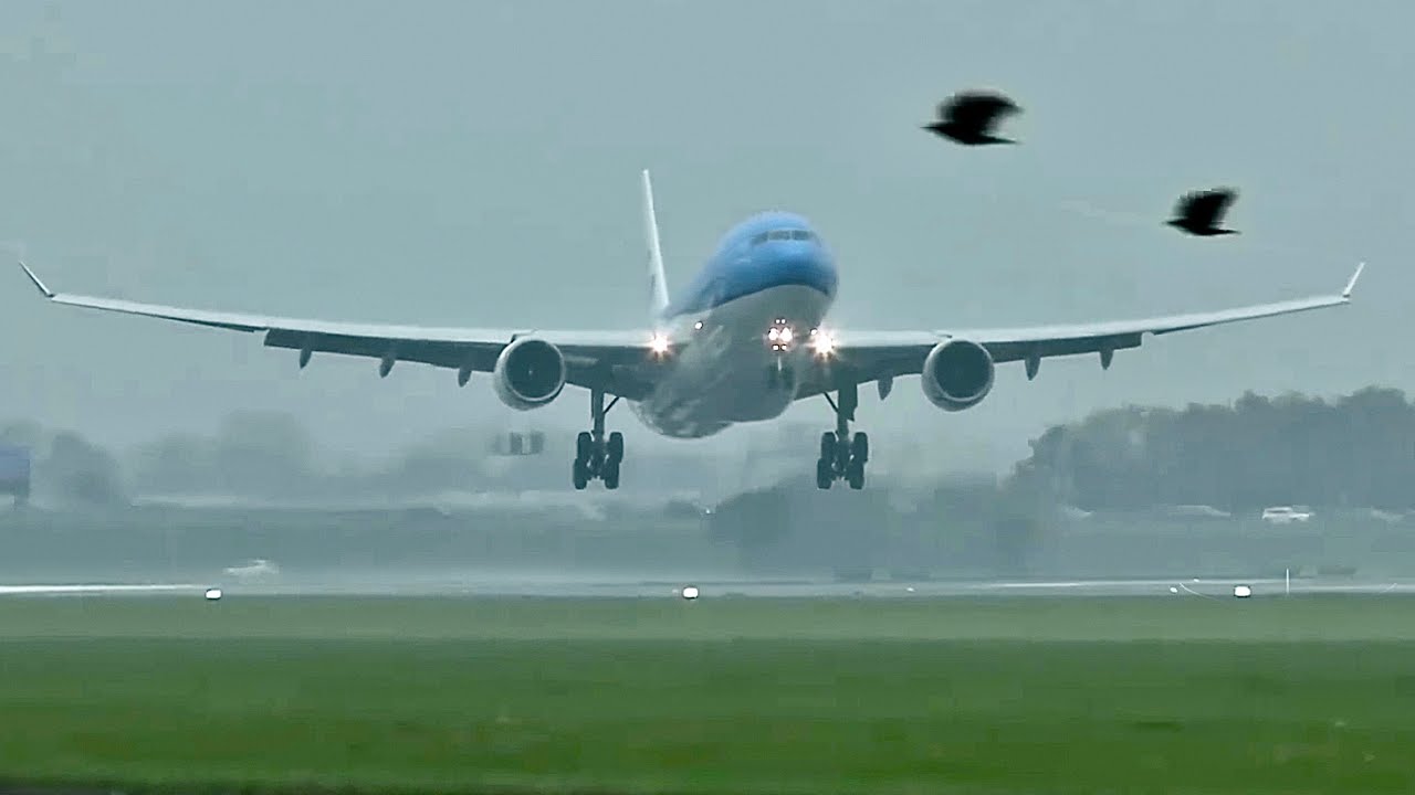 Plane Ingests Birds Into Both Engines - YouTube
