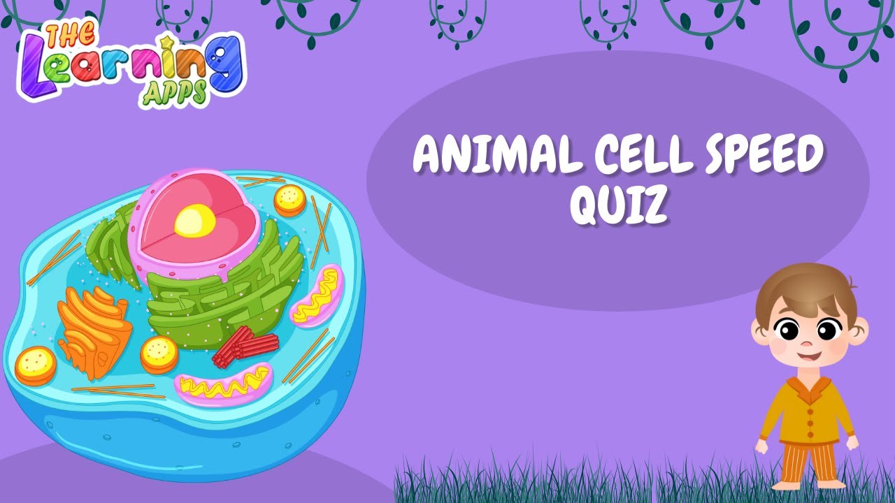 Animal Cell Speed Quiz for Kids | The Learning Apps - YouTube
