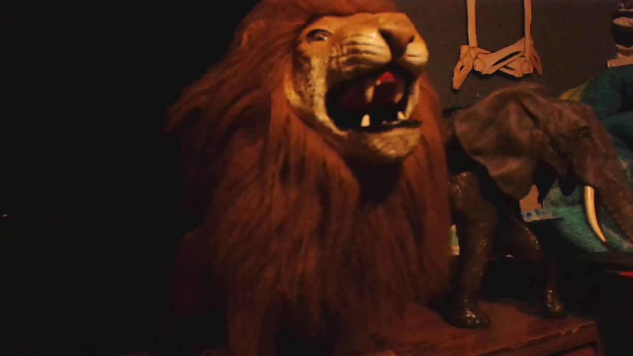 León (Panthera Leo) - YouTube
