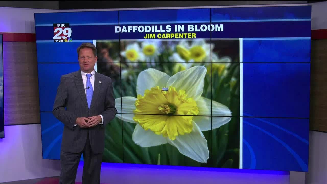 Eric Pritchett - NBC29 Weather 6 PM March 8, 2022 - YouTube