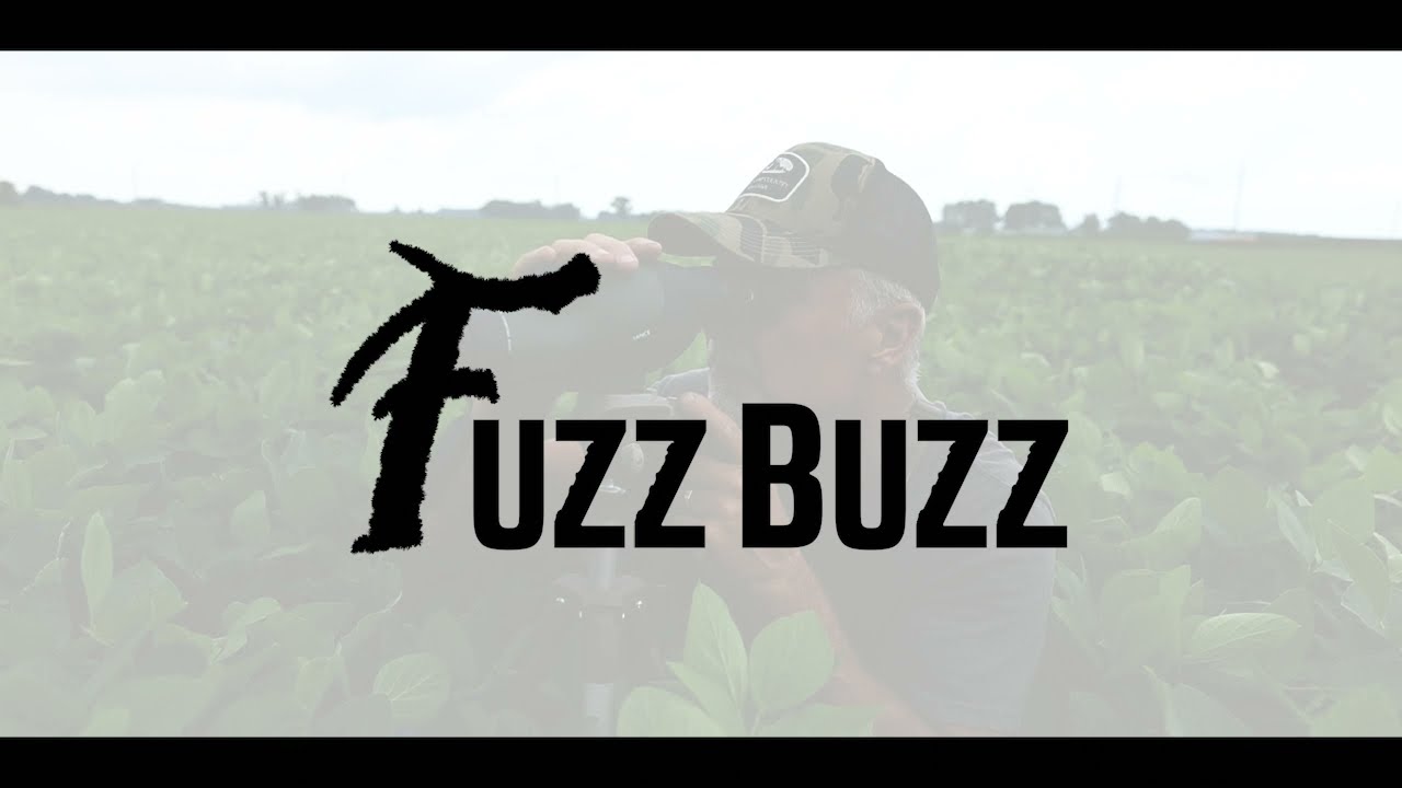 FuzzBuzz 2021 - YouTube