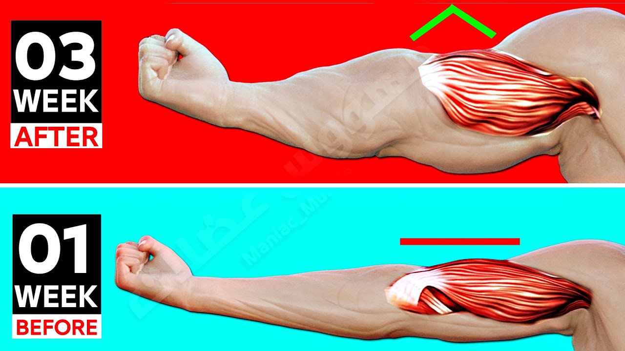 6 BEST Exercises for WIDER BICEPS - YouTube