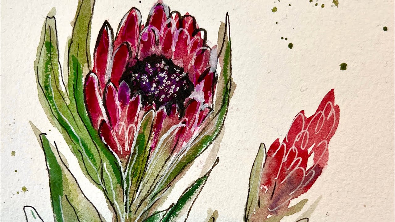 Painting a Protea in Watercolor with Diane Antone Studio - YouTube