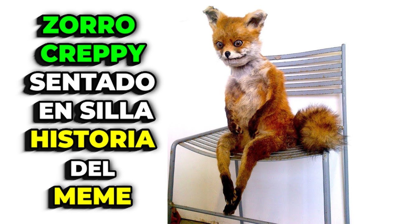 ZORRO CREPPY SENTADO🦊🪑Historia del Meme | Su Origen y VIRALIDAD en ...